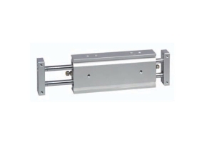 กระบอกลมแกนคู่ รุ่น CXSW Dual-Rod Cylinder Double-Rod Type | จำหน่าย ...